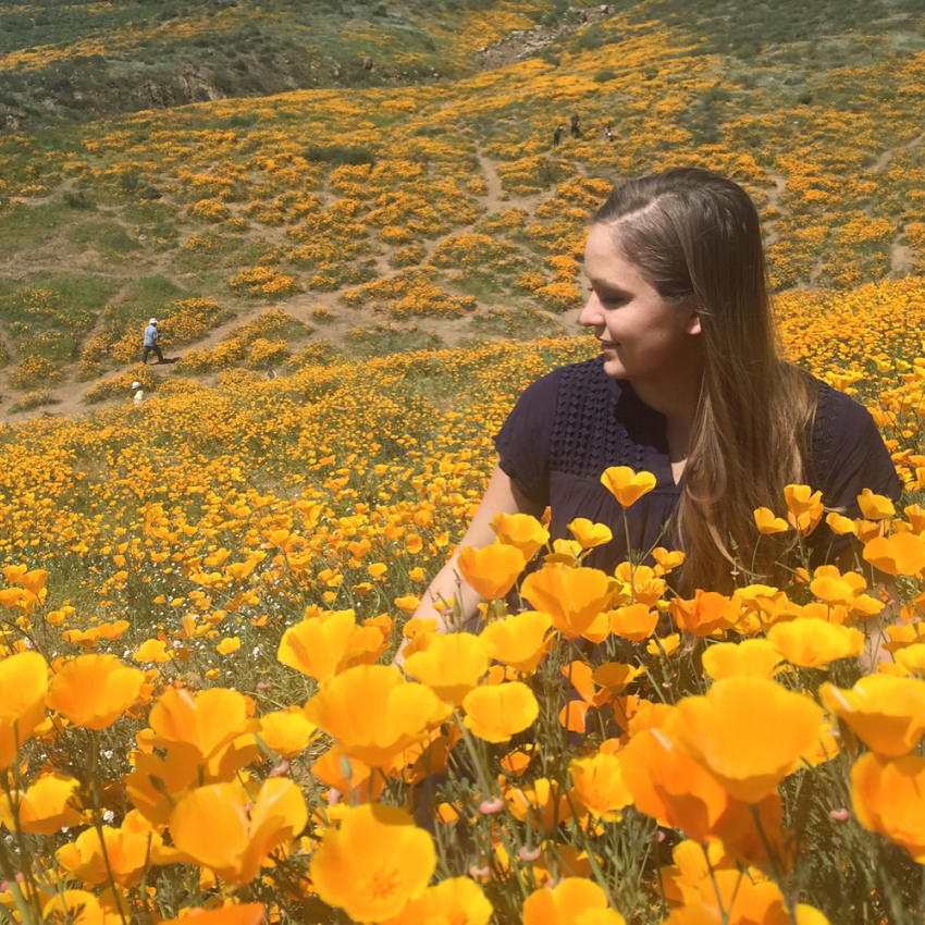 California Spring Break 2017 - McKenzie Sue Makes