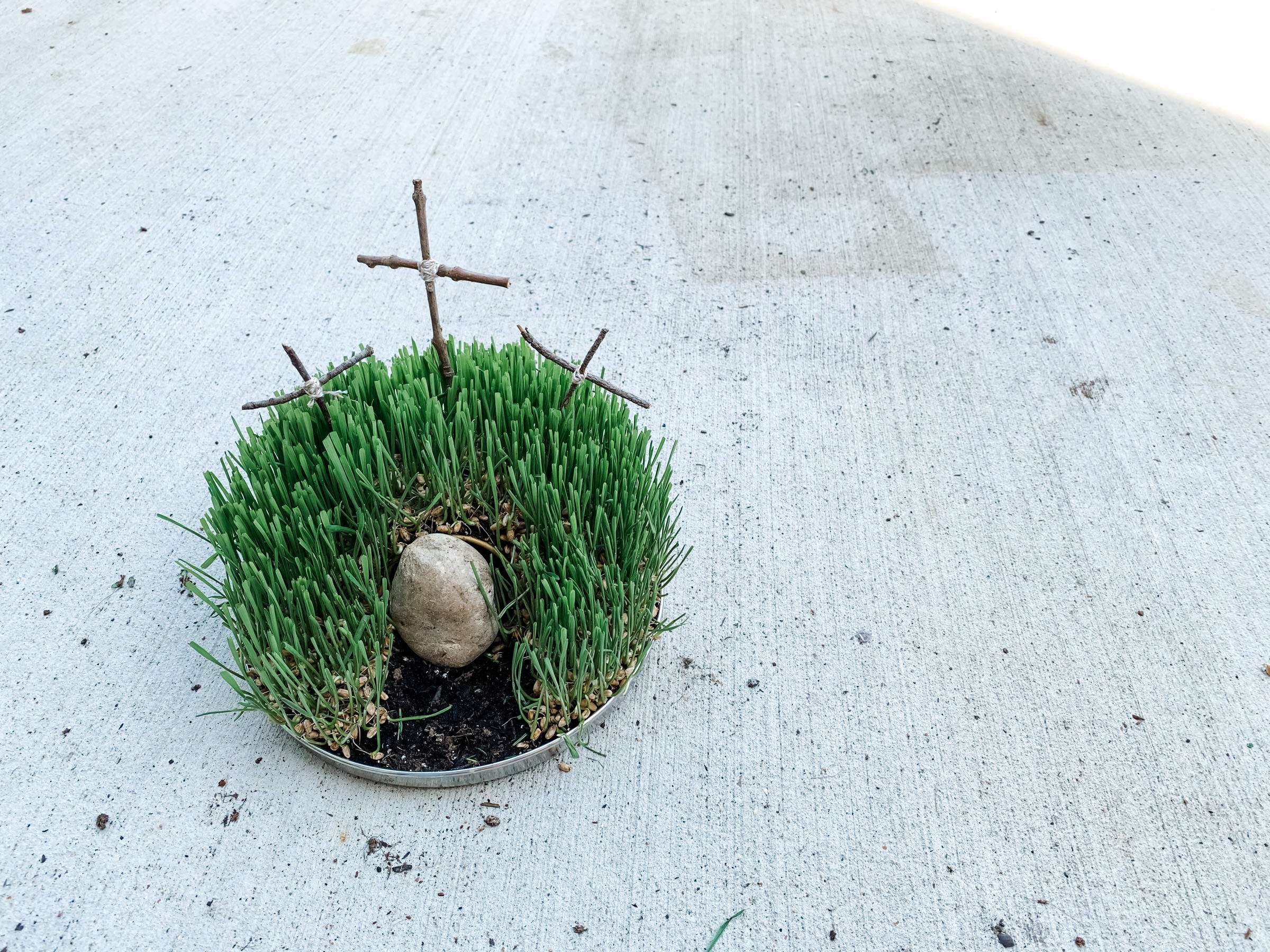 Mini Resurrection Garden