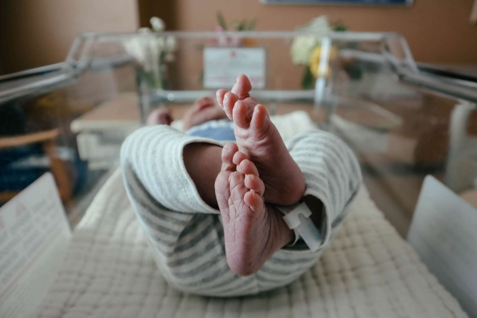 The Name Juniper & It's Biblical Meaning - McKenzie Sue Makes