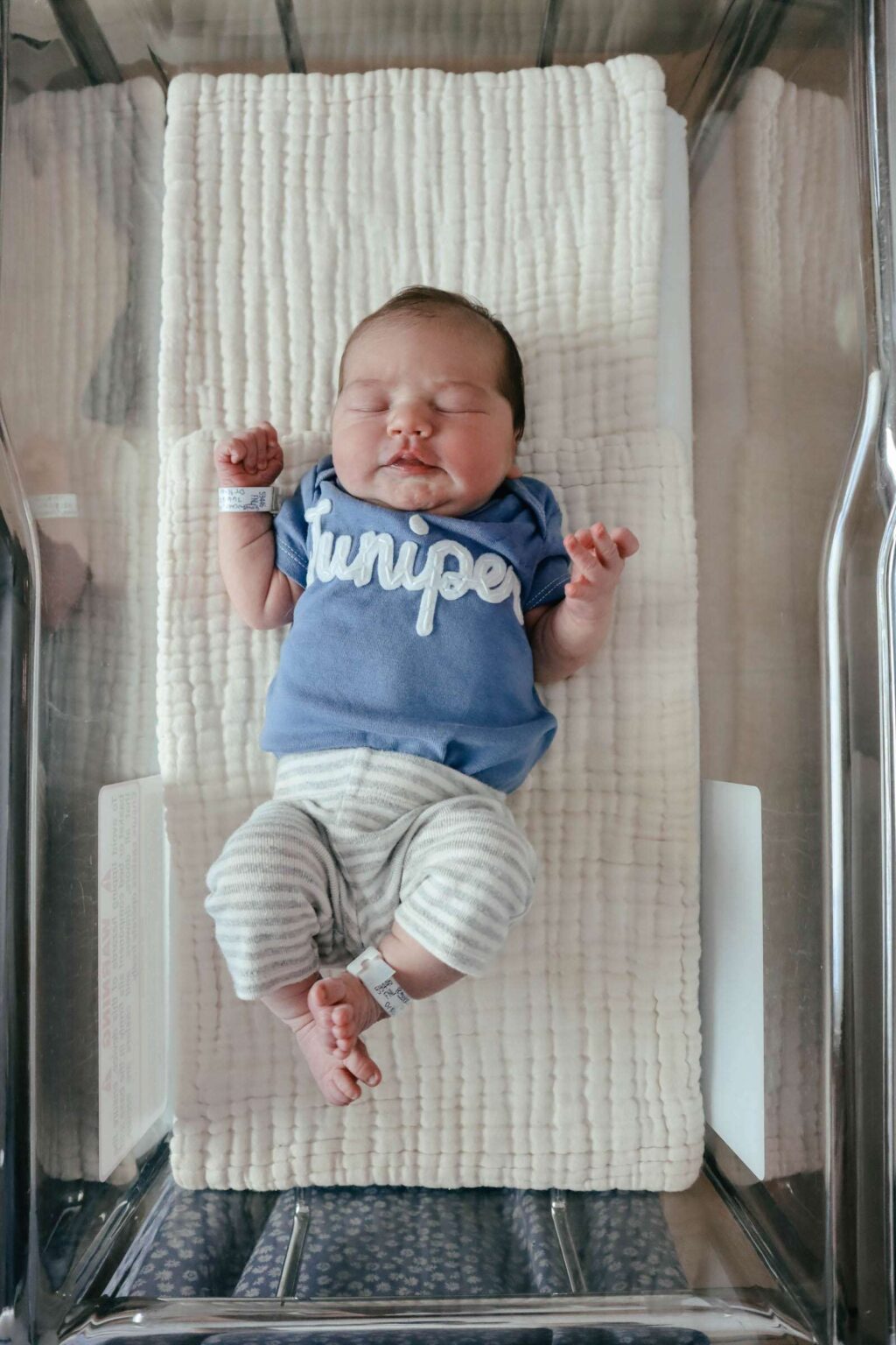 The Name Juniper & It's Biblical Meaning - McKenzie Sue Makes
